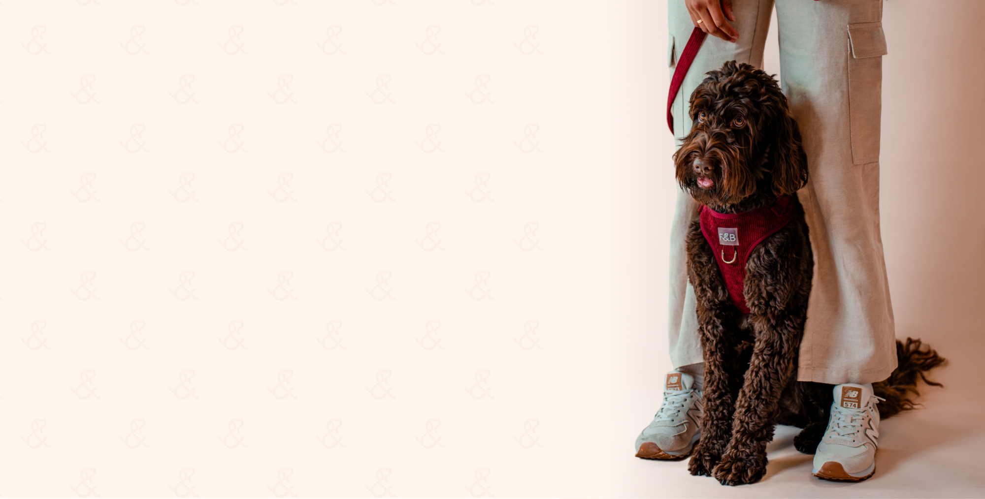 Premium Dog Harnesses | Fetch & Bark - Stylish & Functional Pet Gear – FETCH & BARK